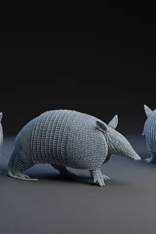 Armadillo by Peter Farell | Download free STL model | Printables.com