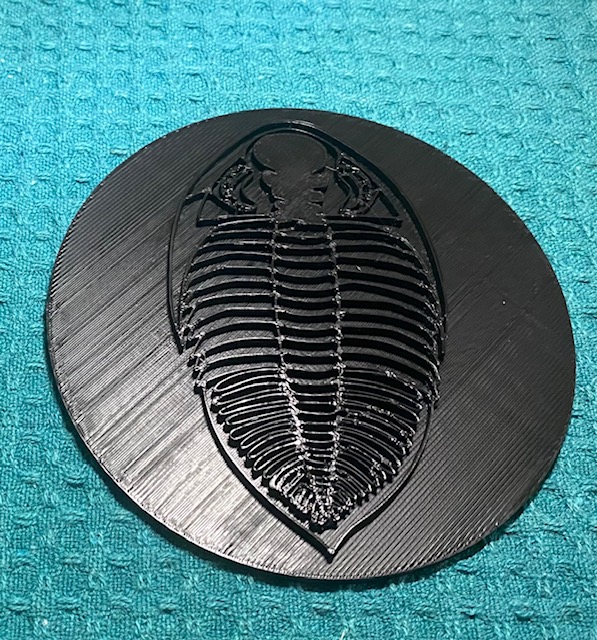 Trilobite Fossil by AlanH007 | Download free STL model | Printables.com