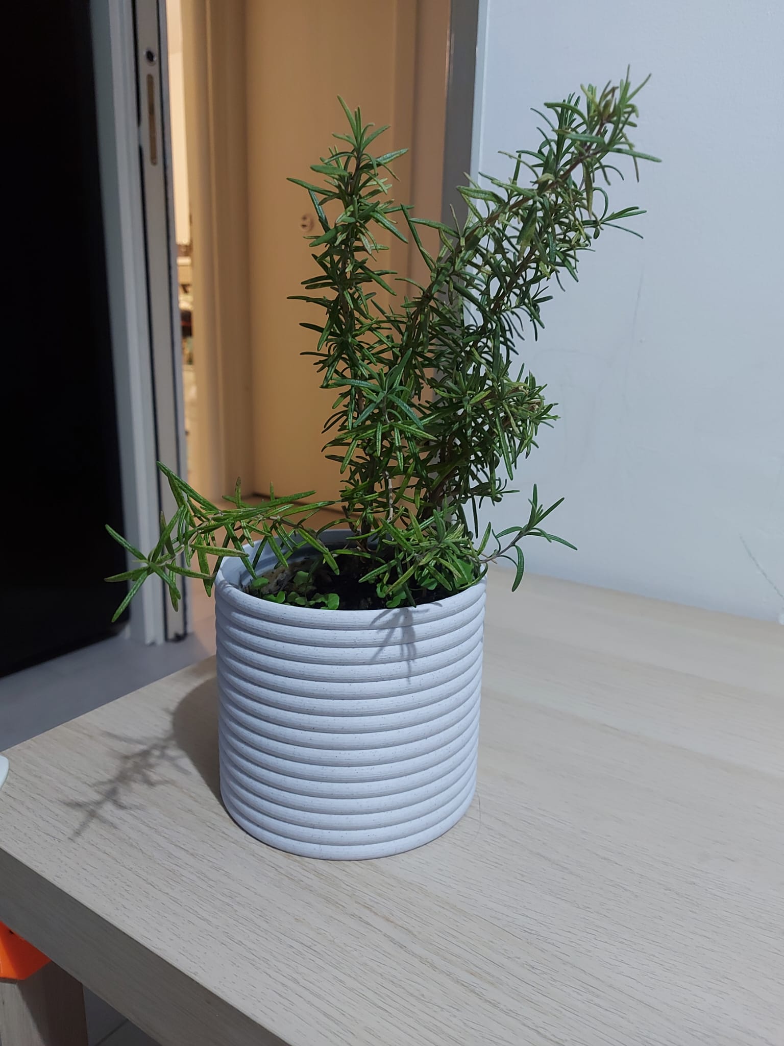 Simple Vase Planter by KAPPA3D | Download free STL model | Printables.com