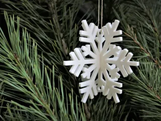 3D snowflake by Evan23 | Download free STL model | Printables.com