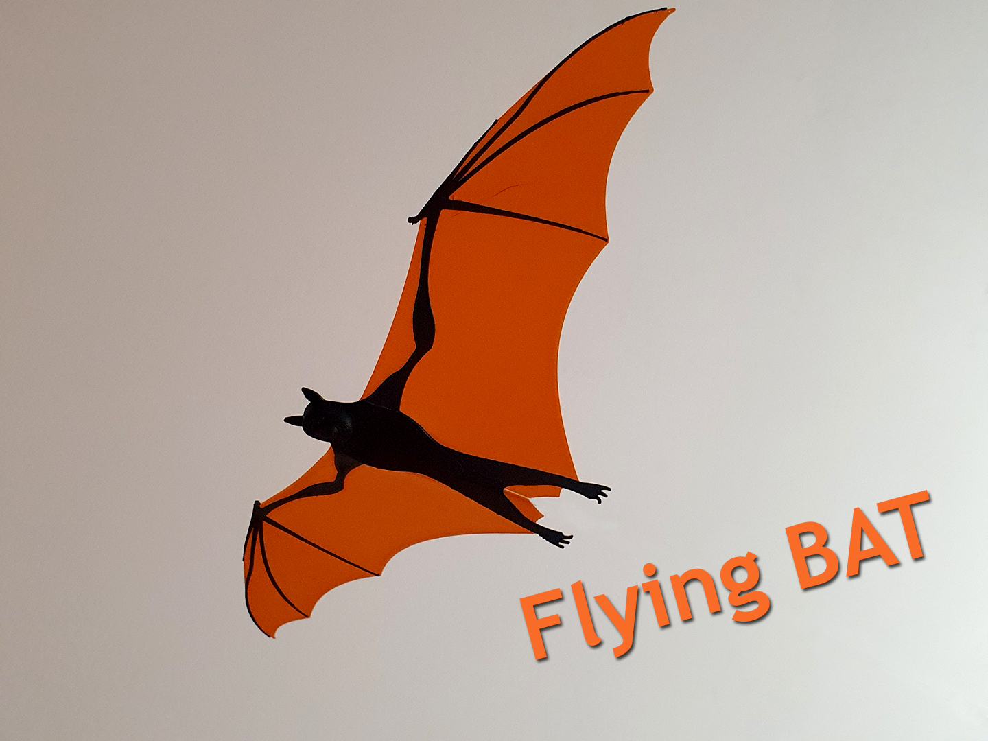 Flying Bat by Laisch | Download free STL model | Printables.com