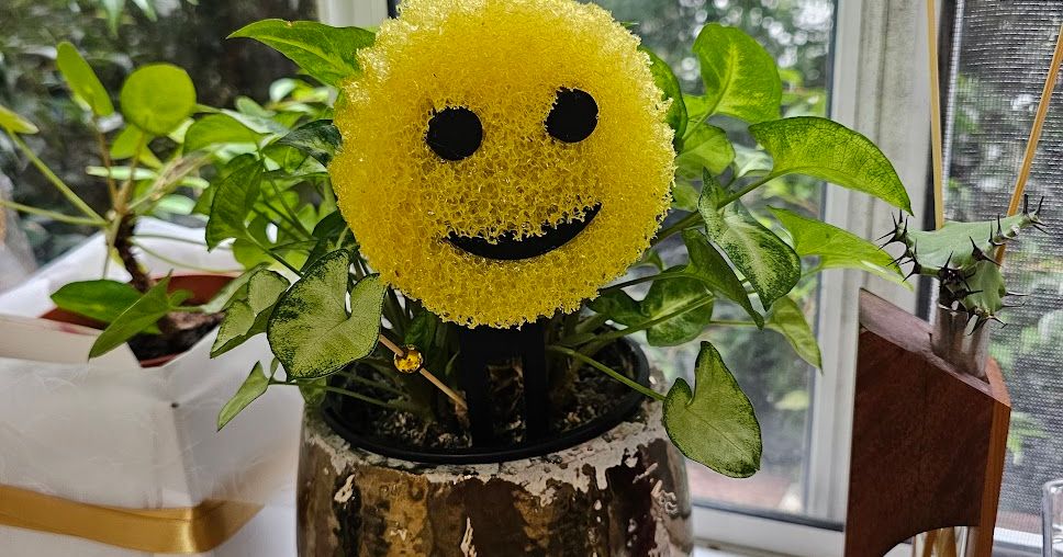 Scrub Daddy Pot Plant Holder by Smurftech | Download free STL model ...