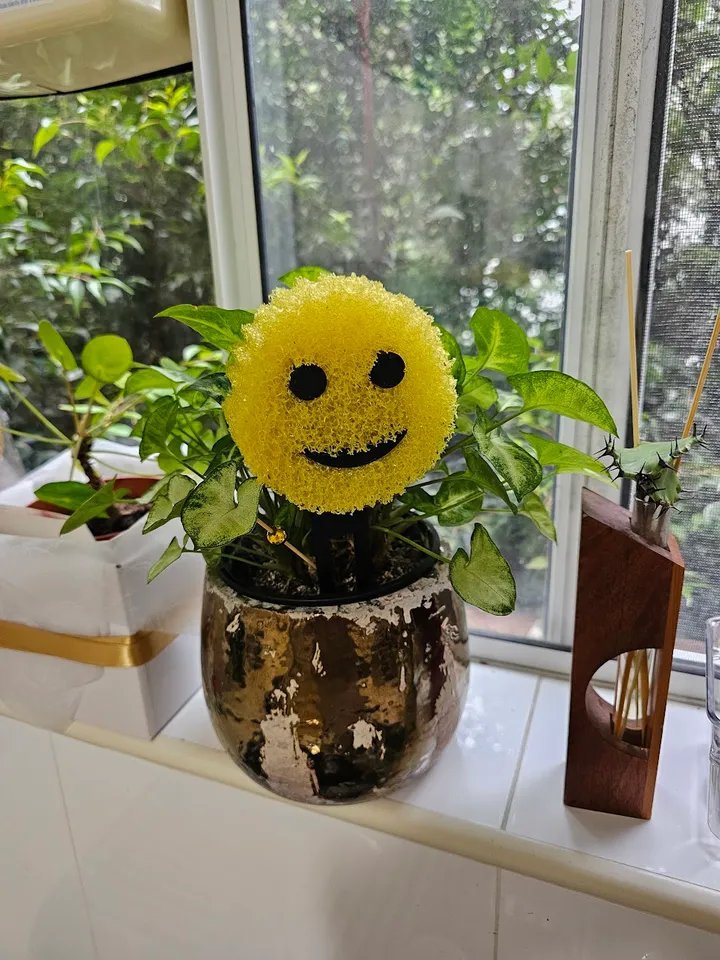 Scrub Daddy Pot Plant Holder by Smurftech | Download free STL model ...