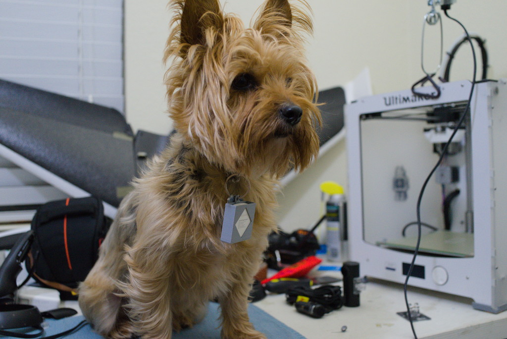 Samsung SmartThings GPS Tracker Dog Collar Keychain Mount by Shader ...