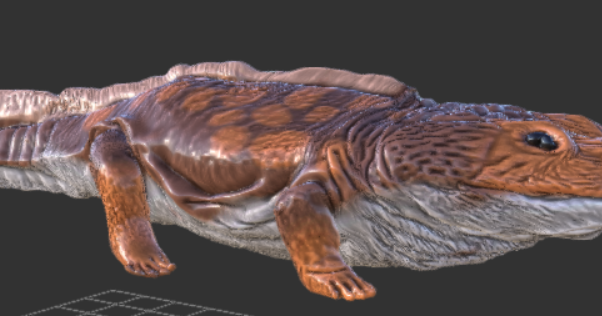 Metoposaurus by Pan Wołodyjowski | Download free STL model | Printables.com