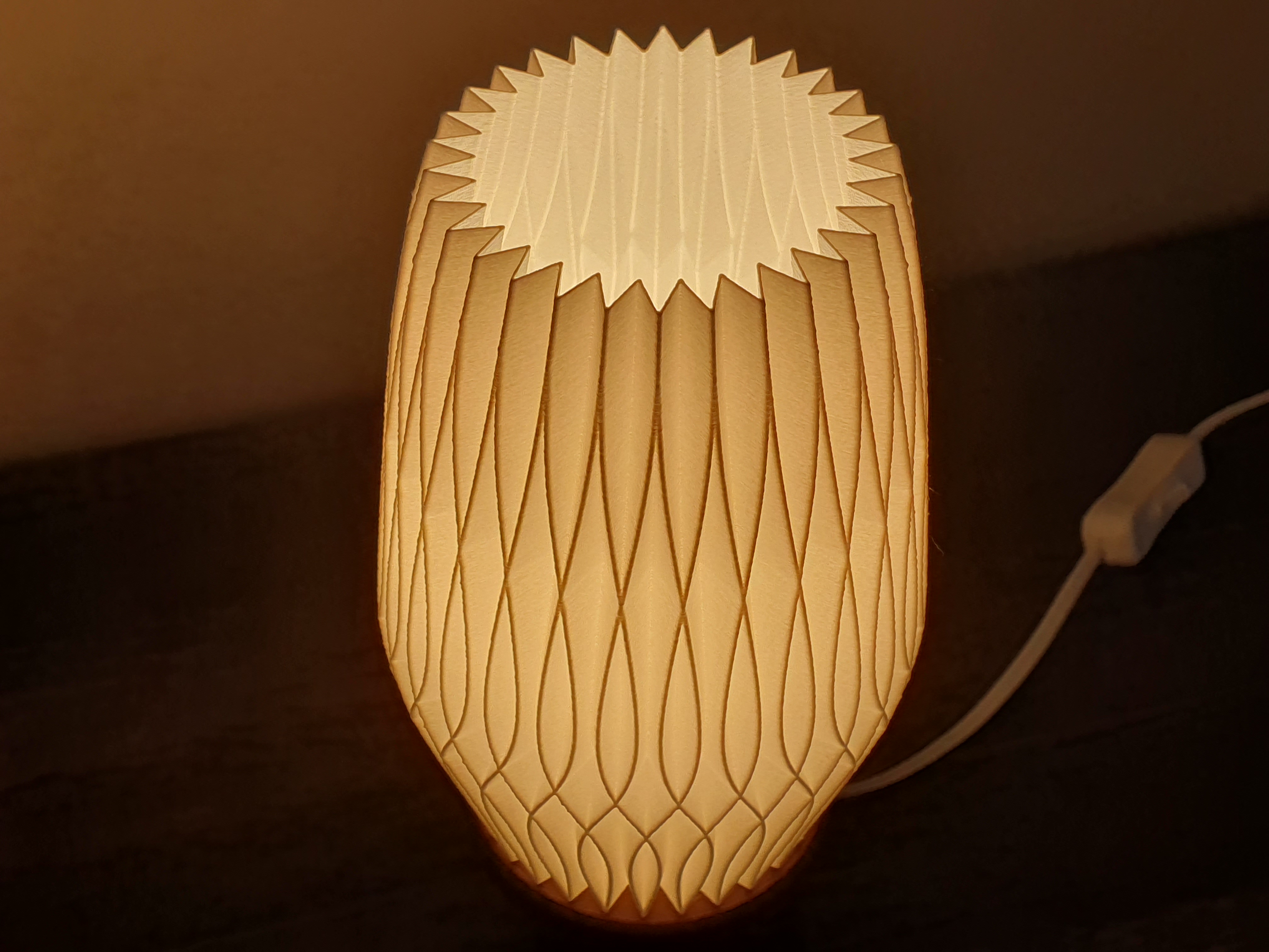 Lamp (for any socket) by strshp | Download free STL model | Printables.com