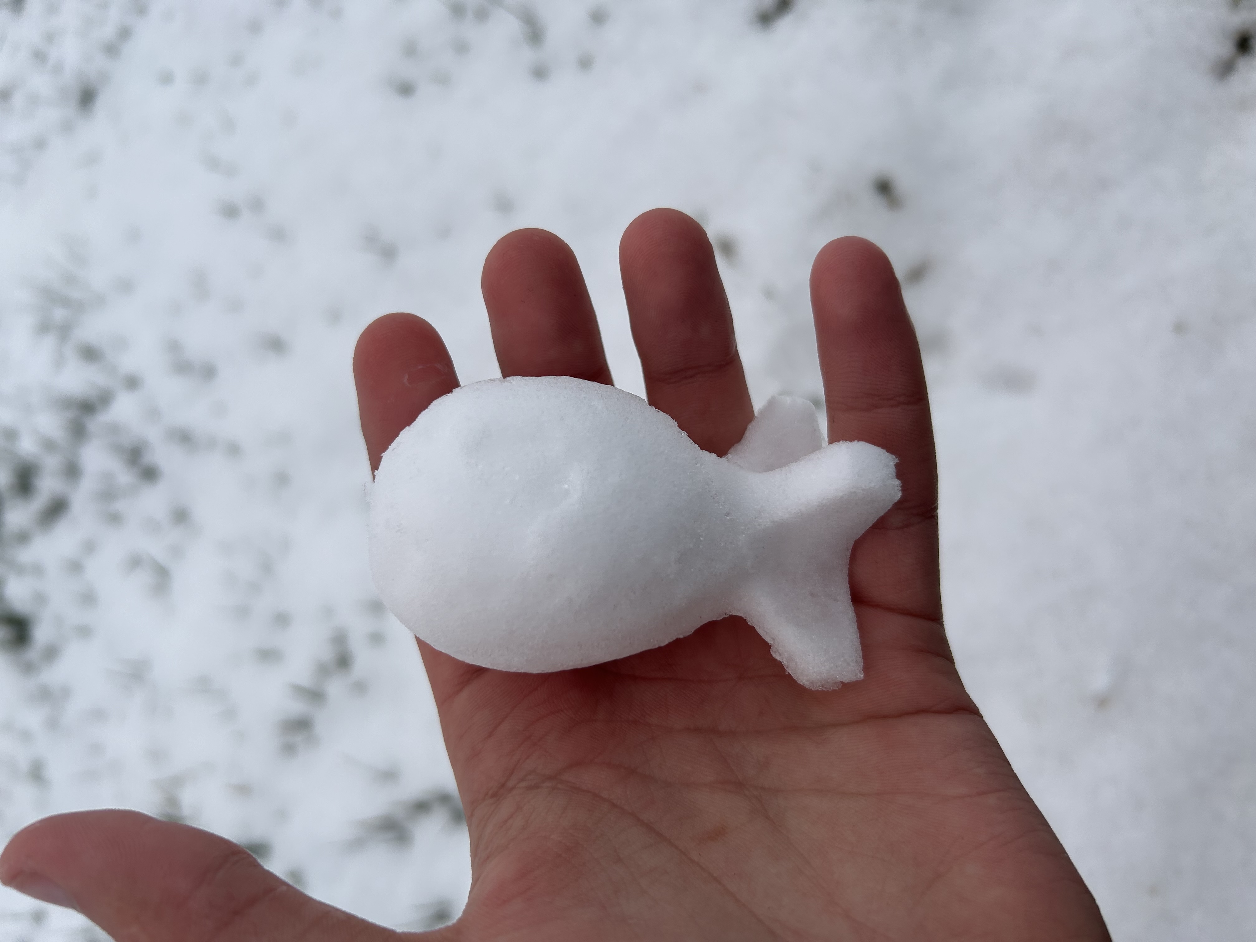 mini nuke snoball mold von Sutton Ingram | Kostenloses STL-Modell ...