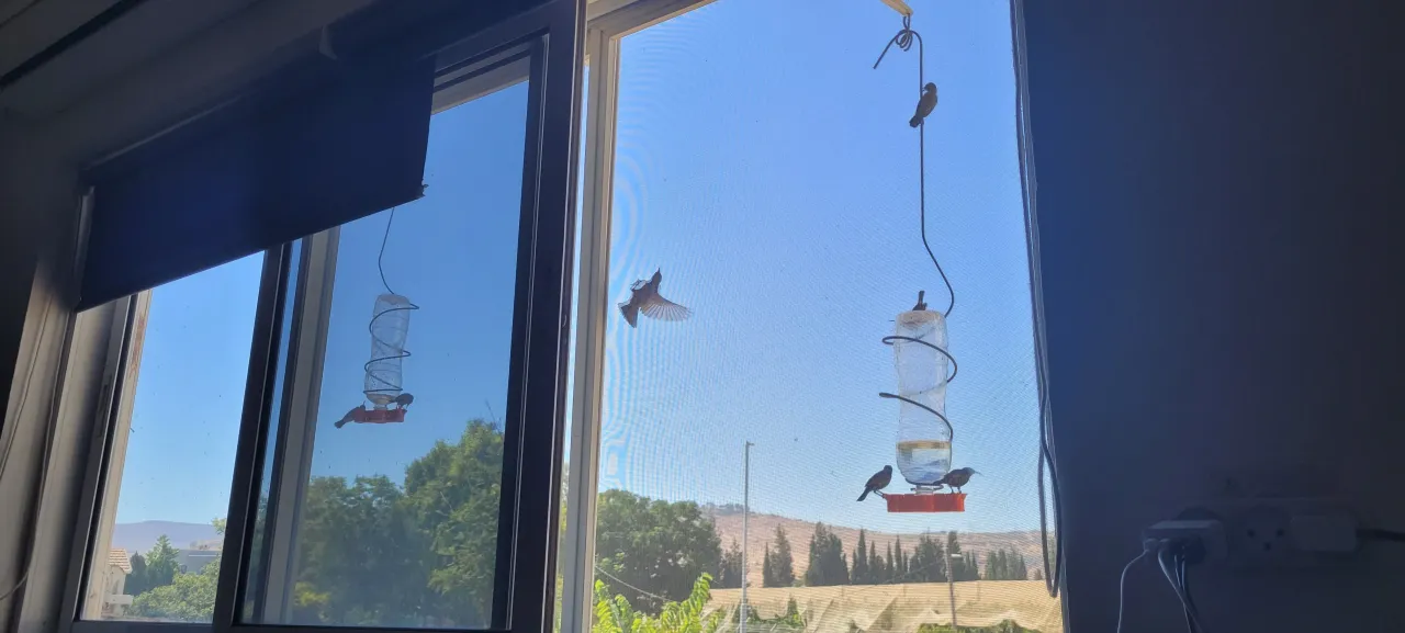hummingbird feeder V3 by RamH52 | Download free STL model | Printables.com