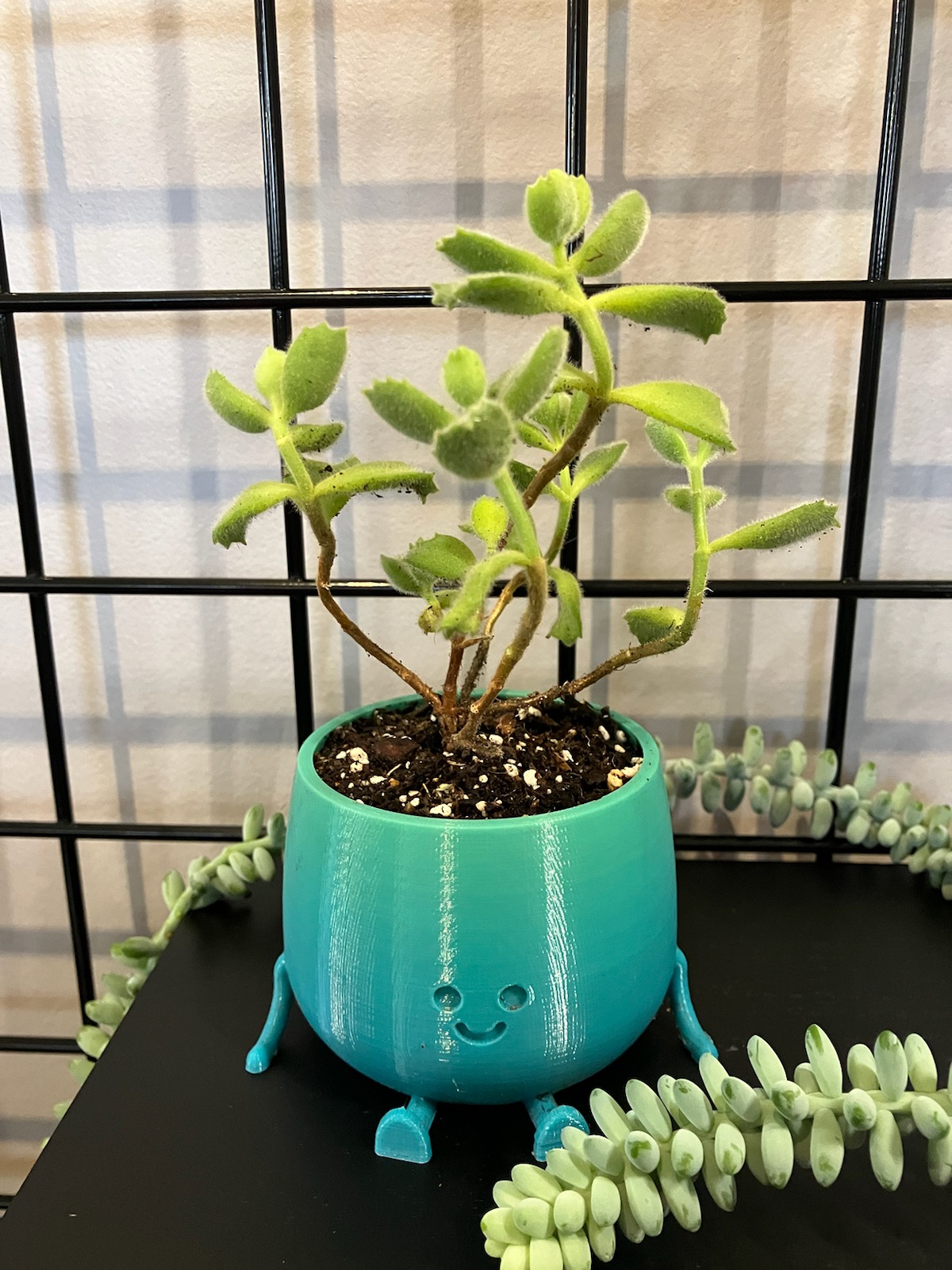 Happy Flower Pot by LayerByLayer | Download free STL model | Printables.com