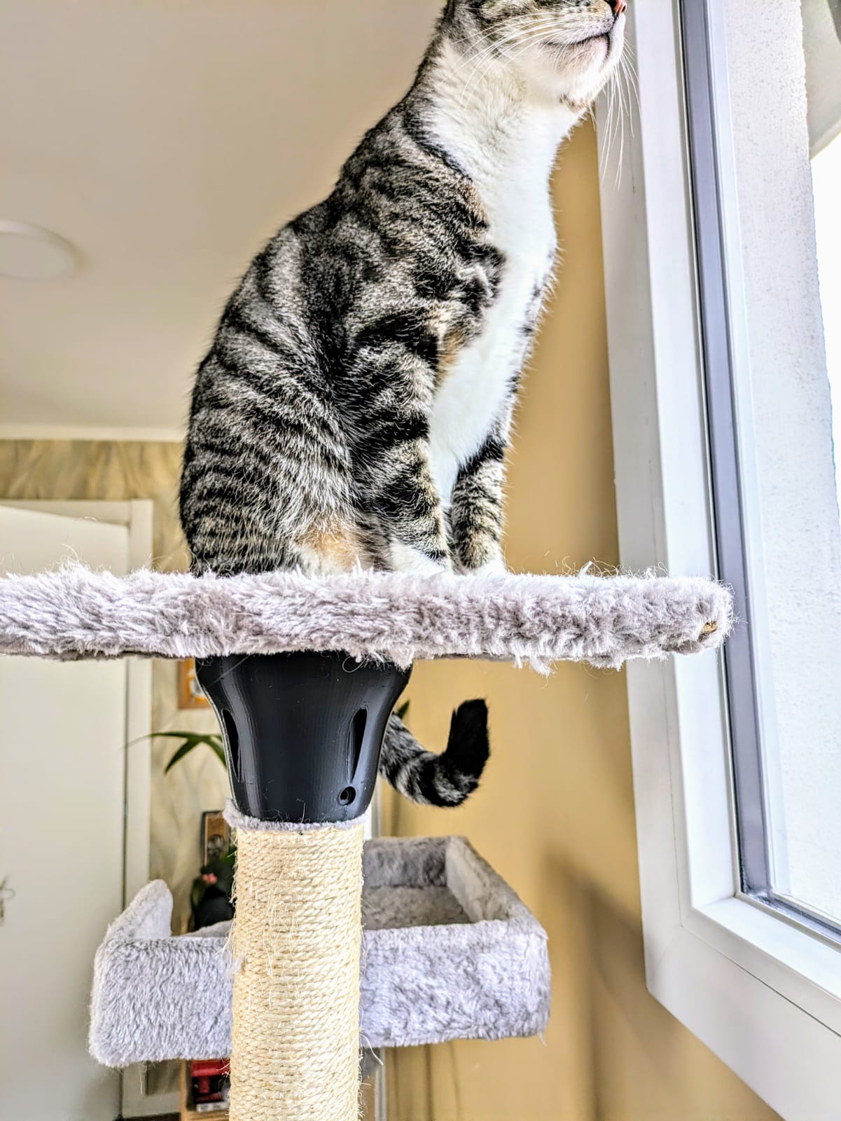 CAT - Support block for scratching posts by SKFactory3D | Download free ...