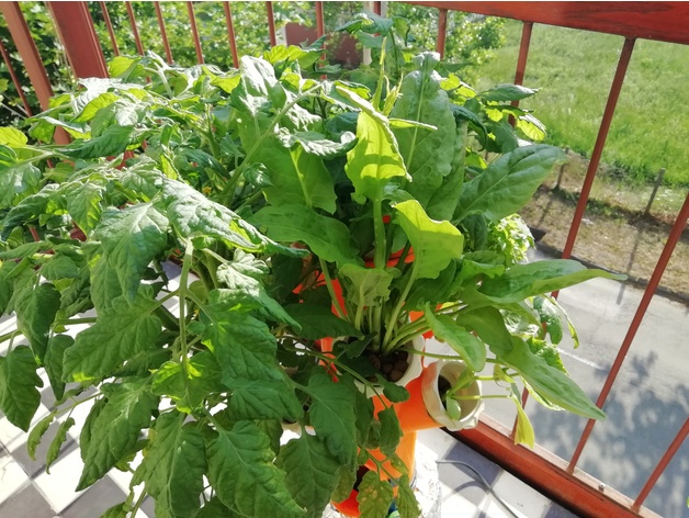 Modular Hydroponic Tower Garden by chrisebryan | Download free STL ...