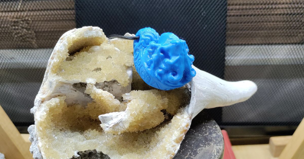 Cursed shell Octopus by SoulStone Seeker | Download free STL model ...