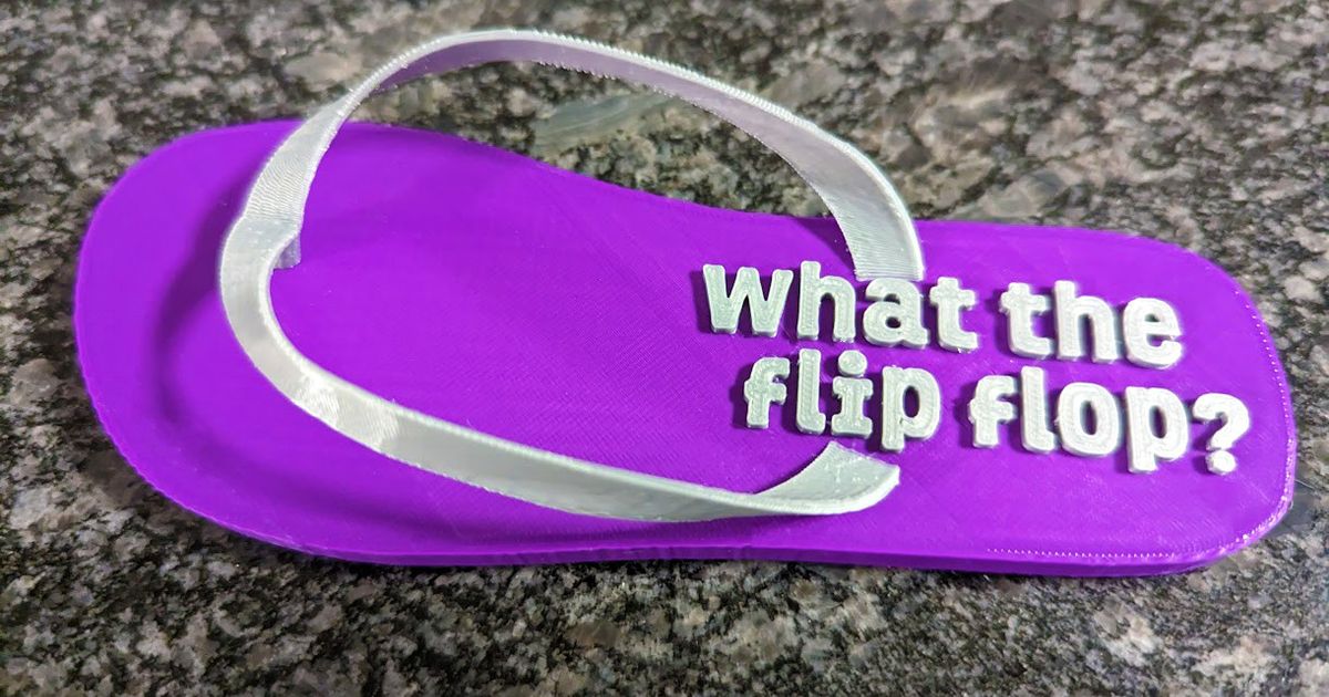 What the Flip Flop? by DigitalGuy | Download free STL model ...