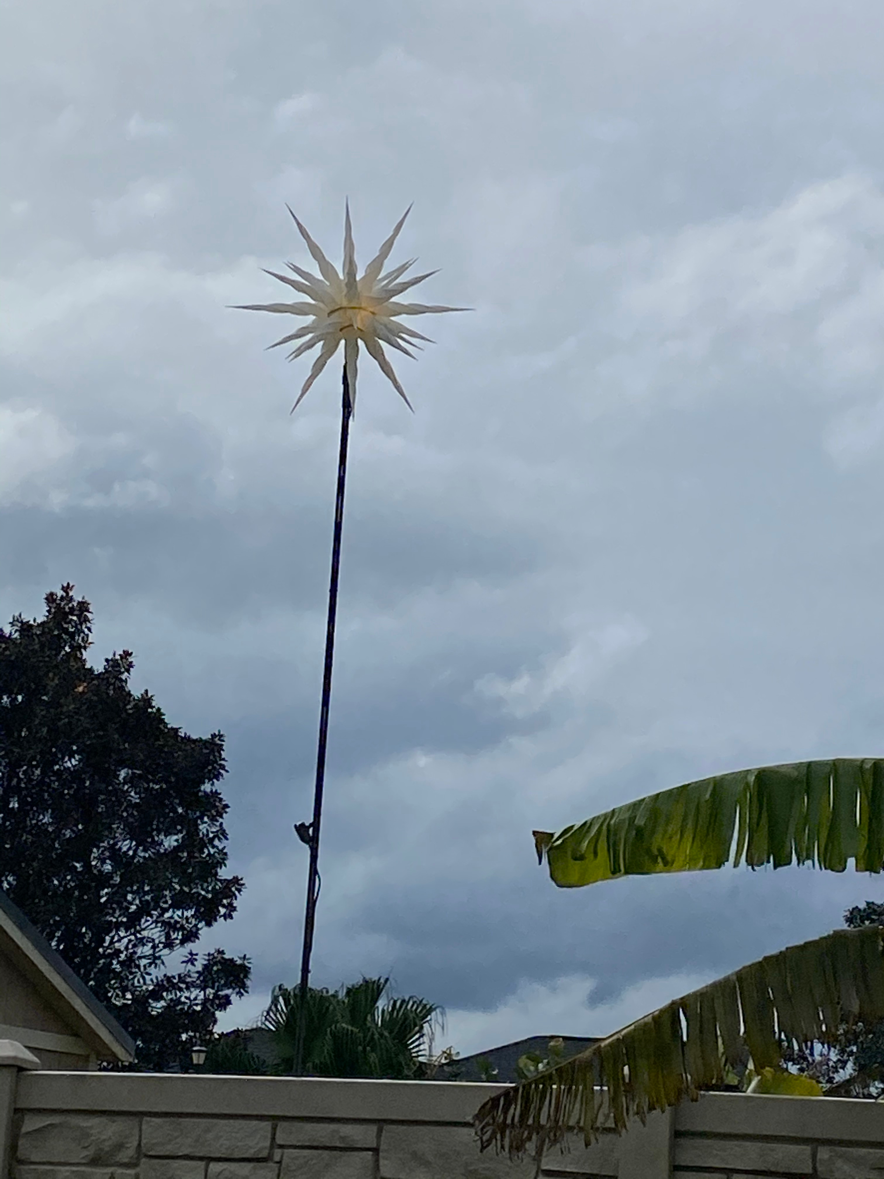 Christmas North Star with a Twist by kratzerd83 | Download free STL ...