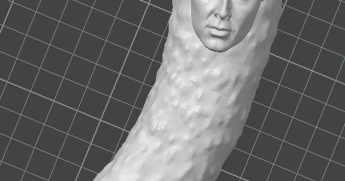 Picholas cage magnet by redhatman | Download free STL model ...