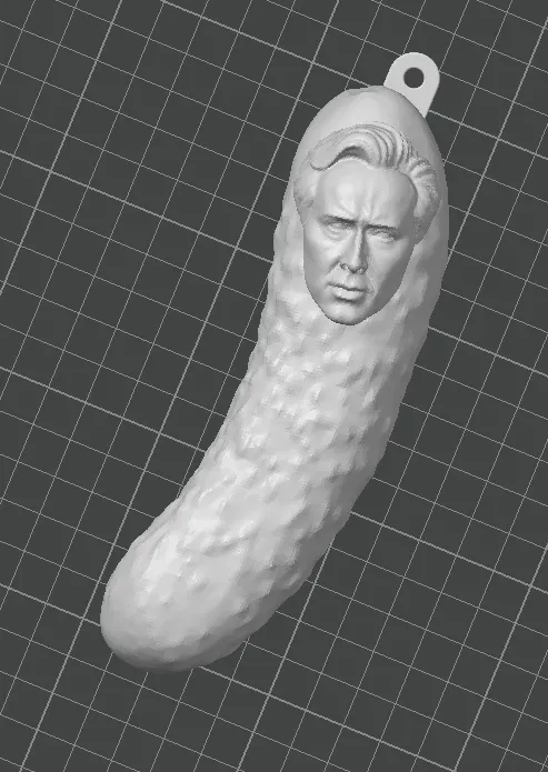 Picholas cage magnet by redhatman | Download free STL model ...