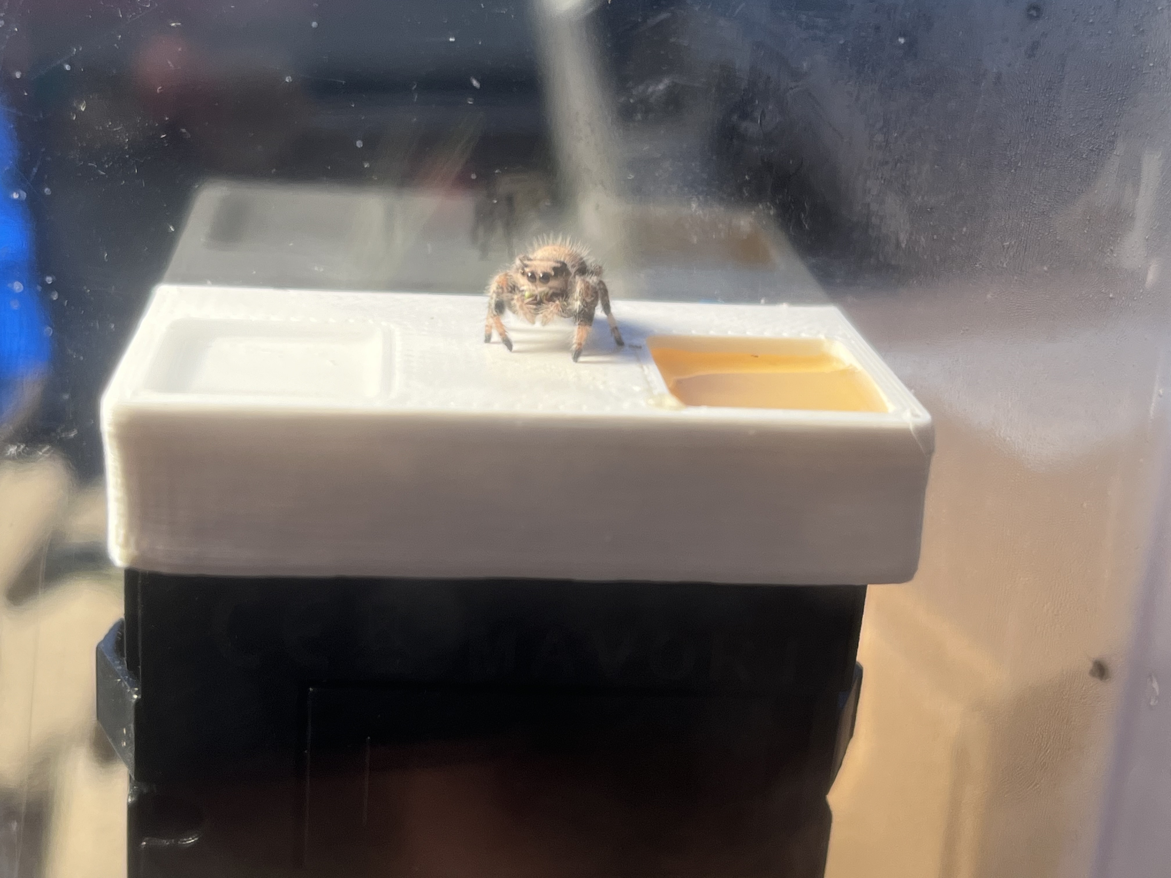 SpiderBar by iSepp | Download free STL model | Printables.com