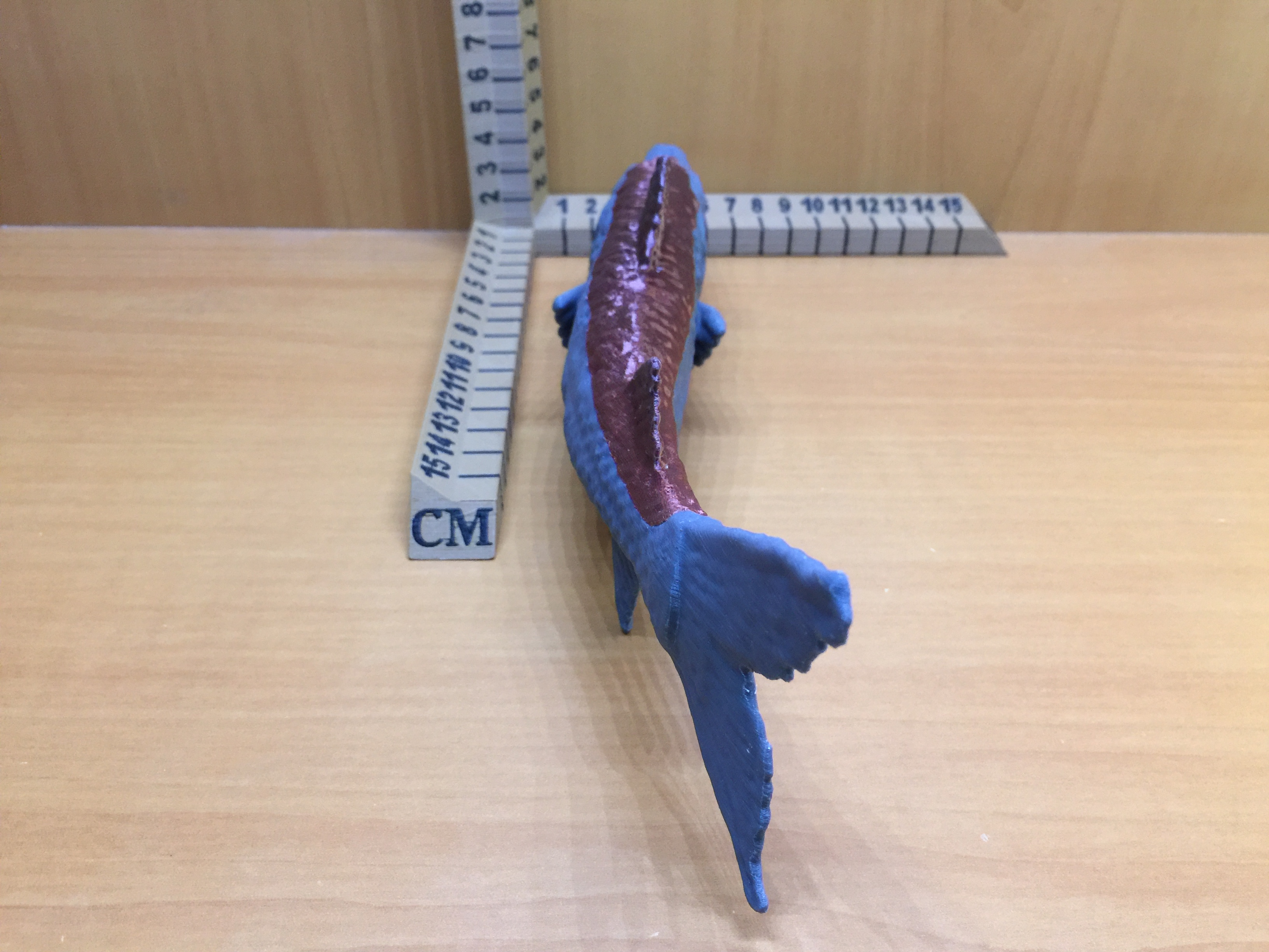Barracuda by StarLabs3D | Download free STL model | Printables.com