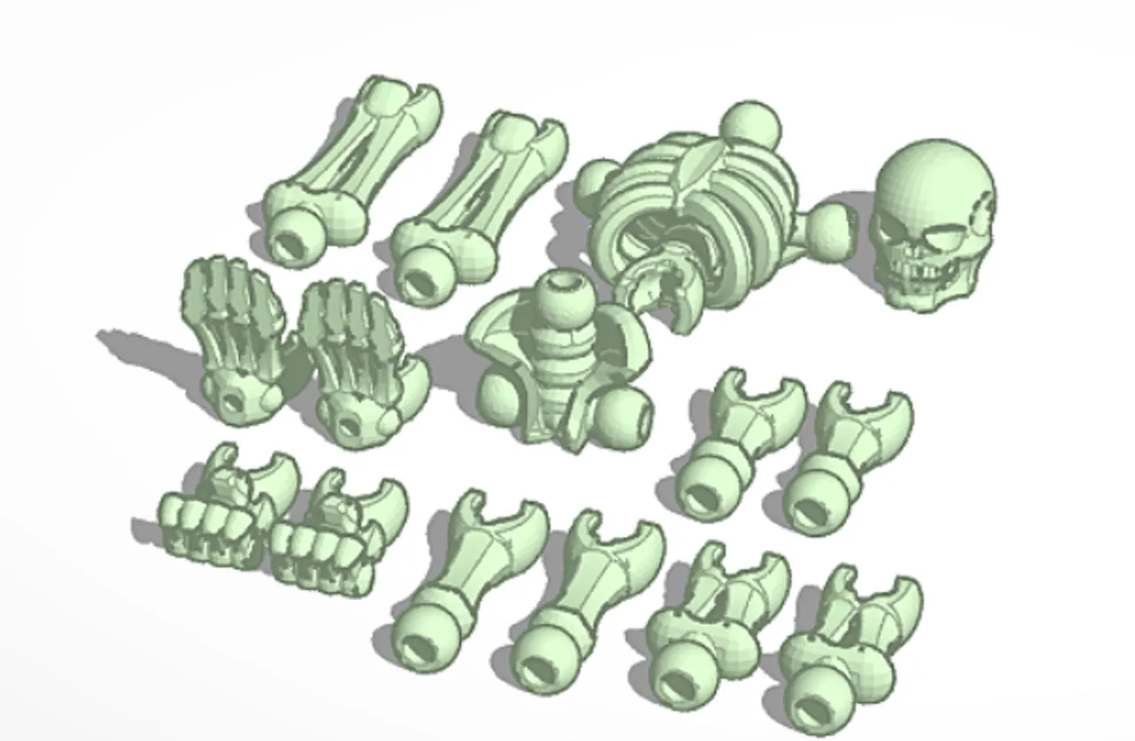 skeleton by printerboy | Download free STL model | Printables.com