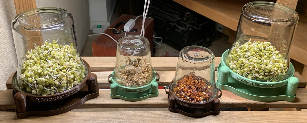 IKEA Jar- Edition Sprouter Sprouting Glass MicroGreens Growing Sprouts ...