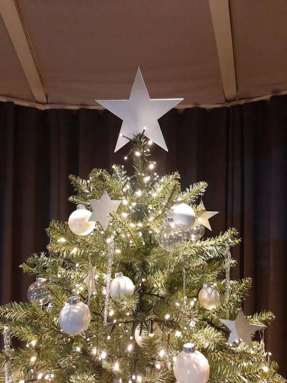 A simple Christmas star by Vloemie | Download free STL model ...