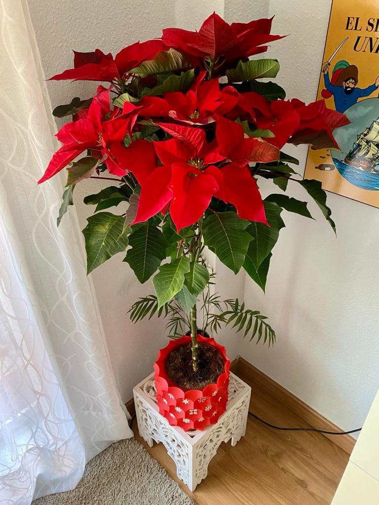 Christmas Remix Anti-sphere Plant pot and Planter with snowflakes ...