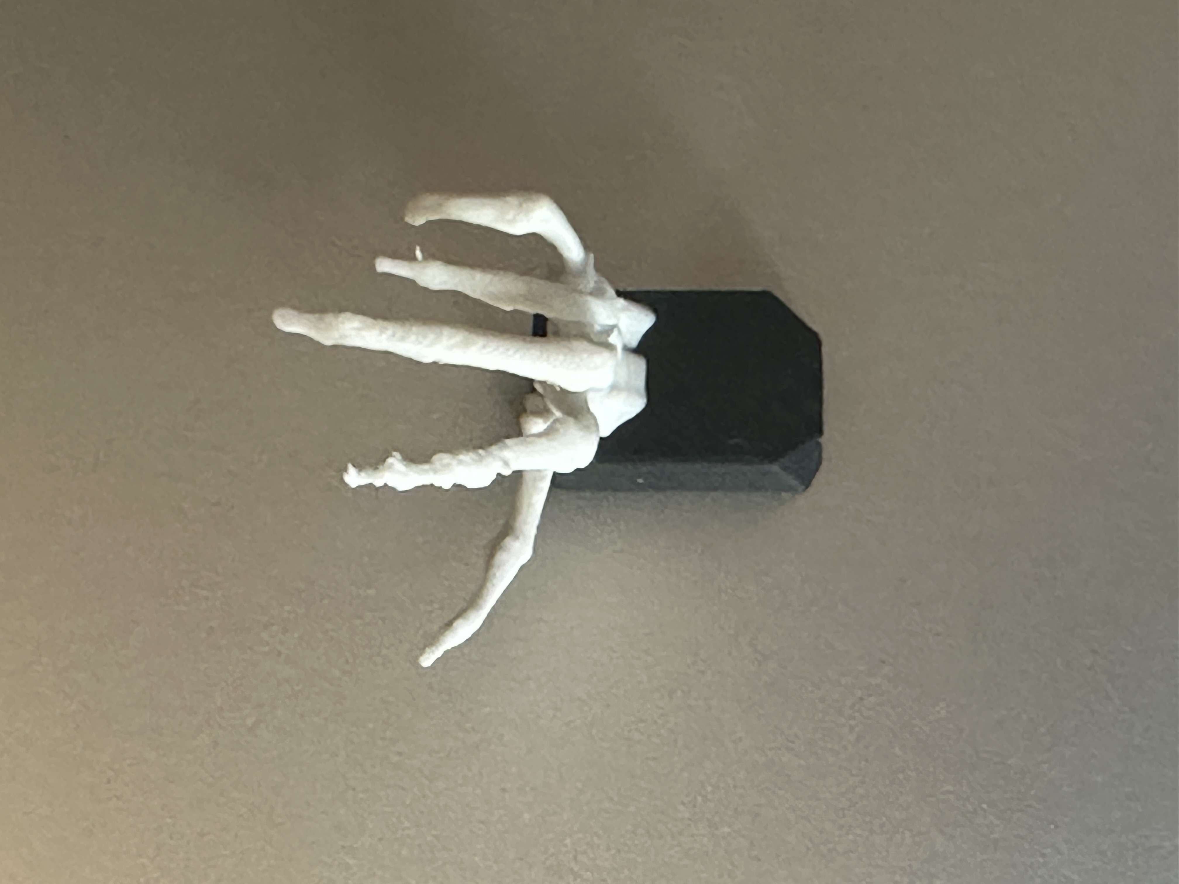 SkeleHand by vidision | Download free STL model | Printables.com