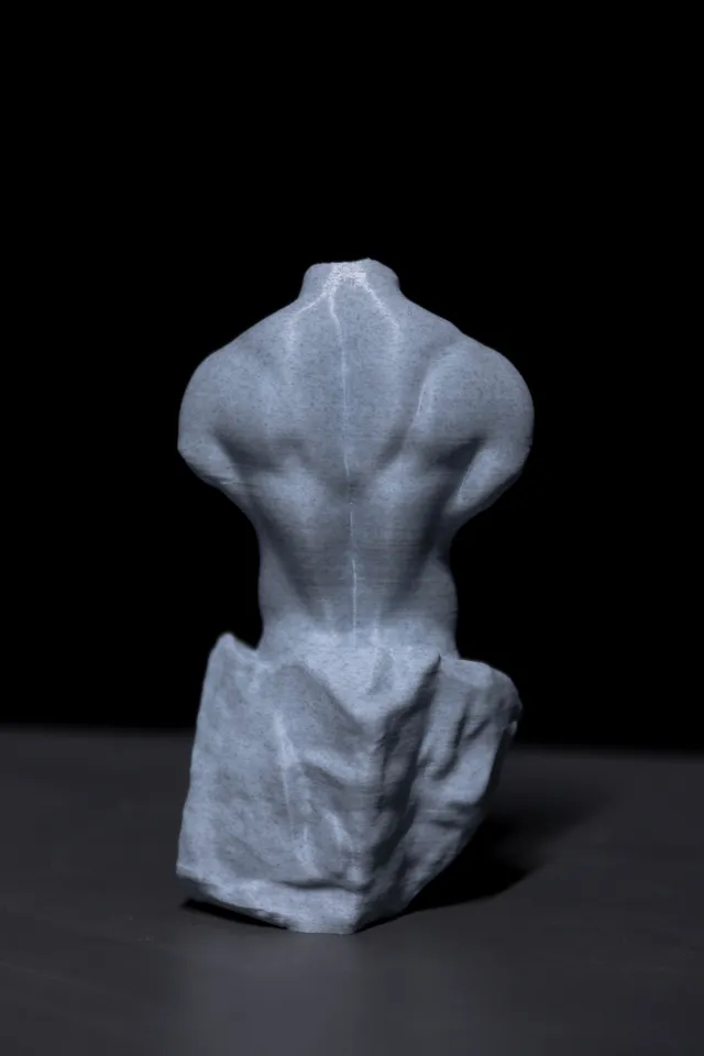 Carved Male Torso by Florin Muntian | Download free STL model ...