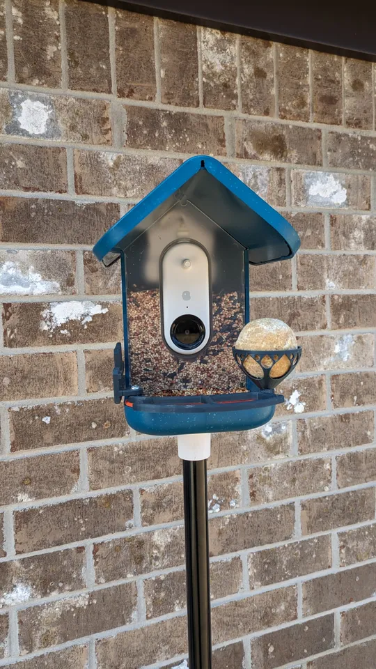 Bird Buddy Suet Ball Holder by Tim B. | Download free STL model ...
