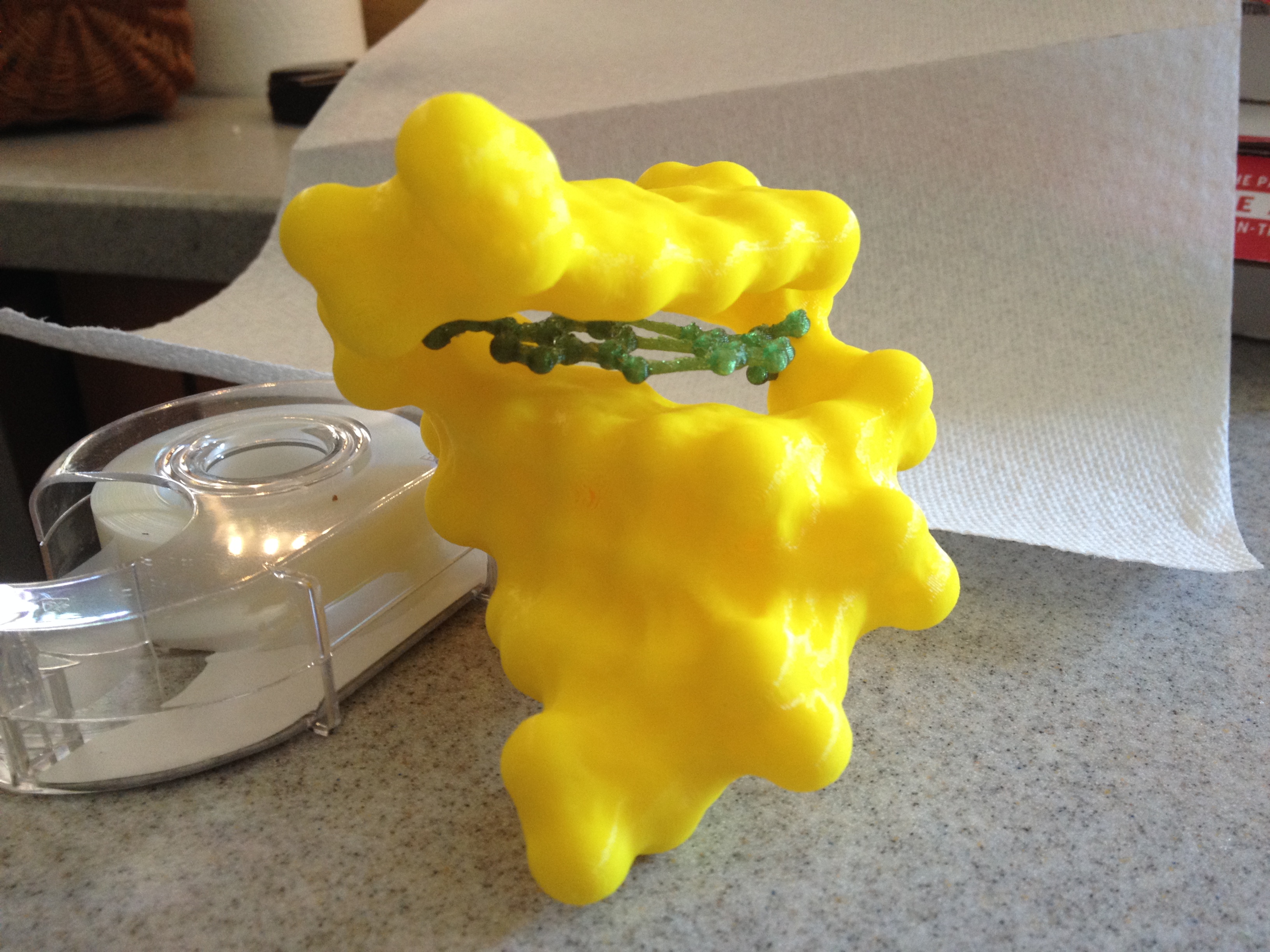 b-dna-surface-with-base-pair-by-ppaukstelis-download-free-stl-model
