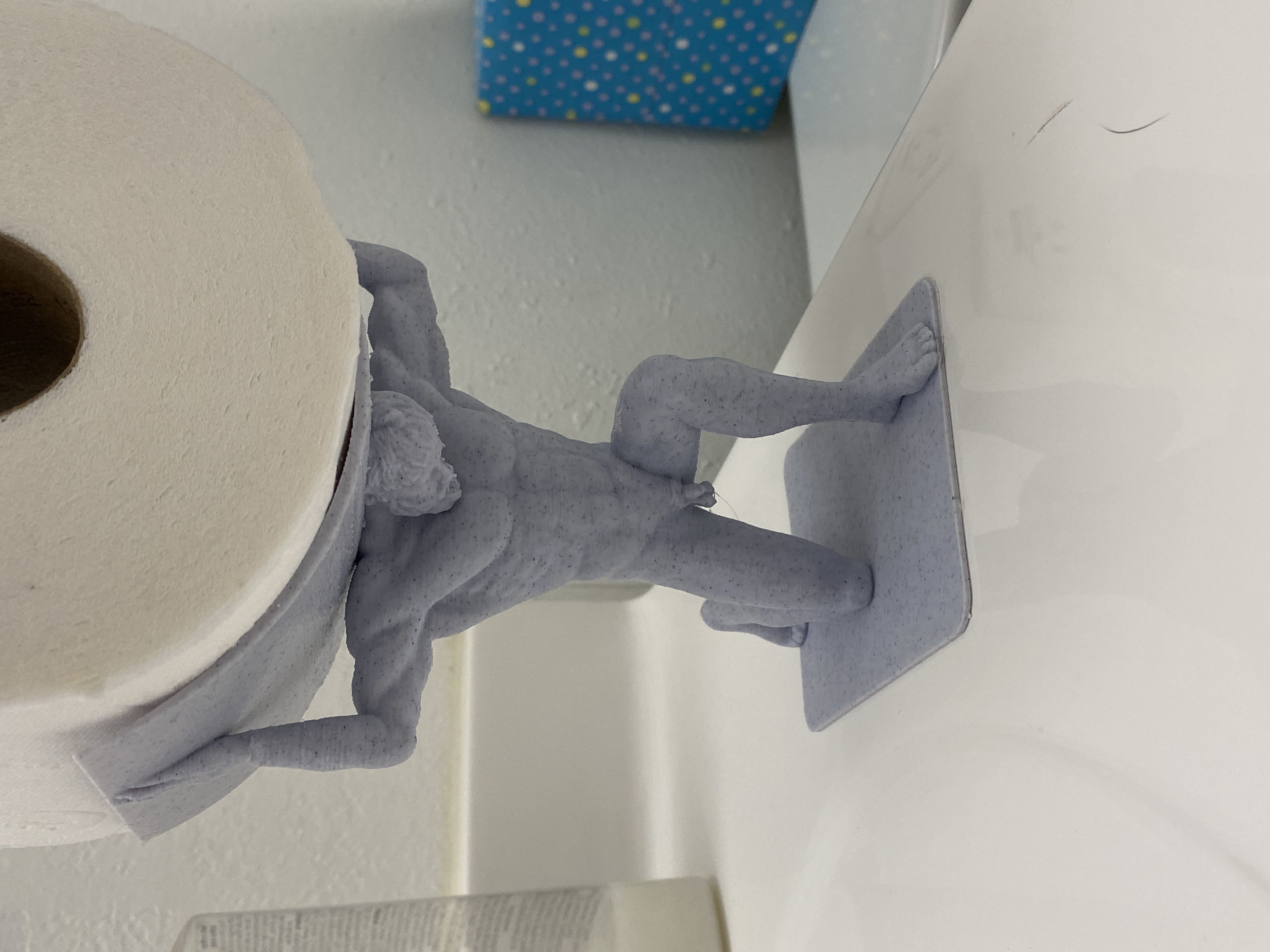 Toilet Roll Atlas by QuietMike | Download free STL model | Printables.com