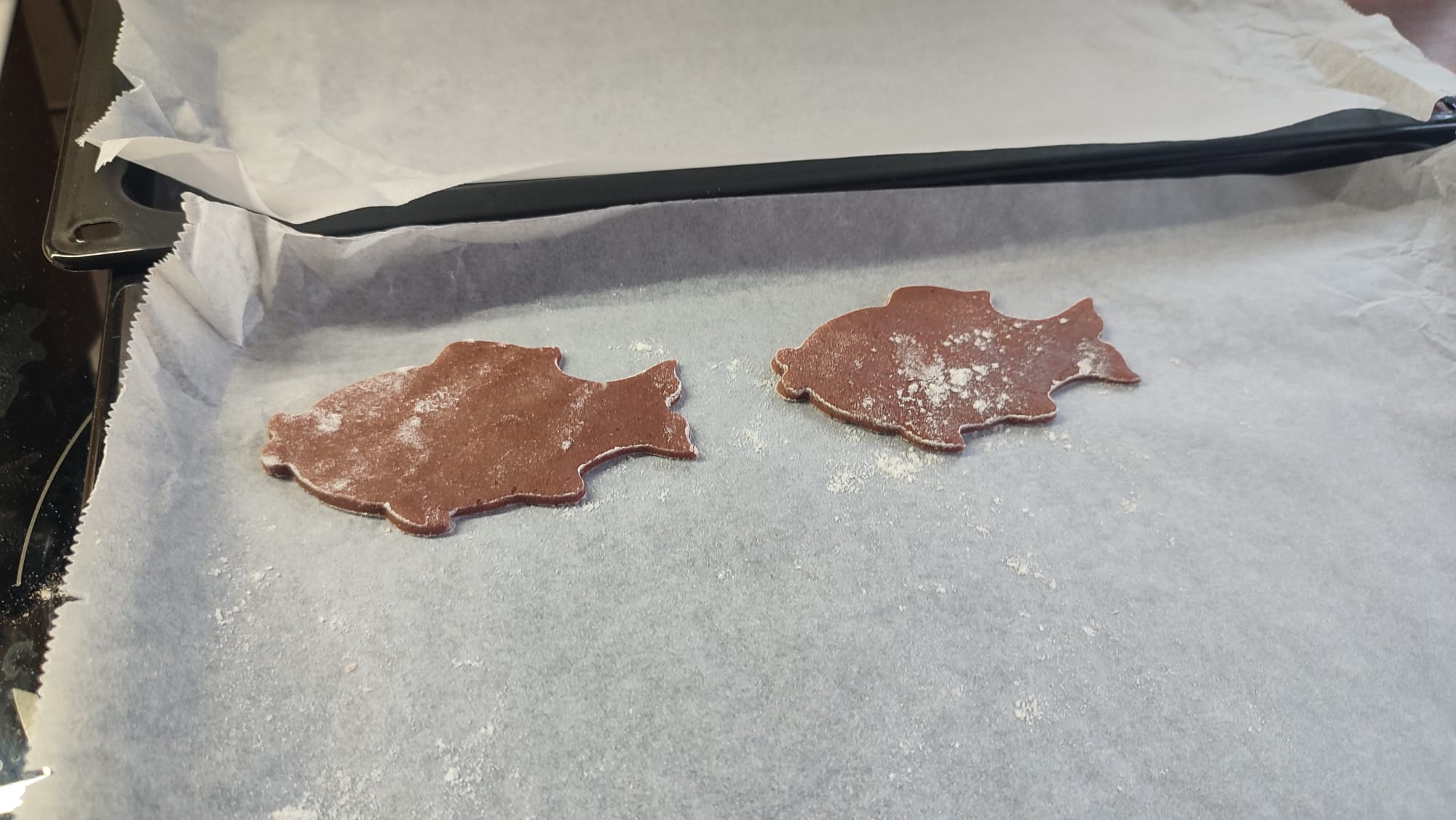 Carp-shaped cookie cutter. by ByPS128 | Download free STL model ...
