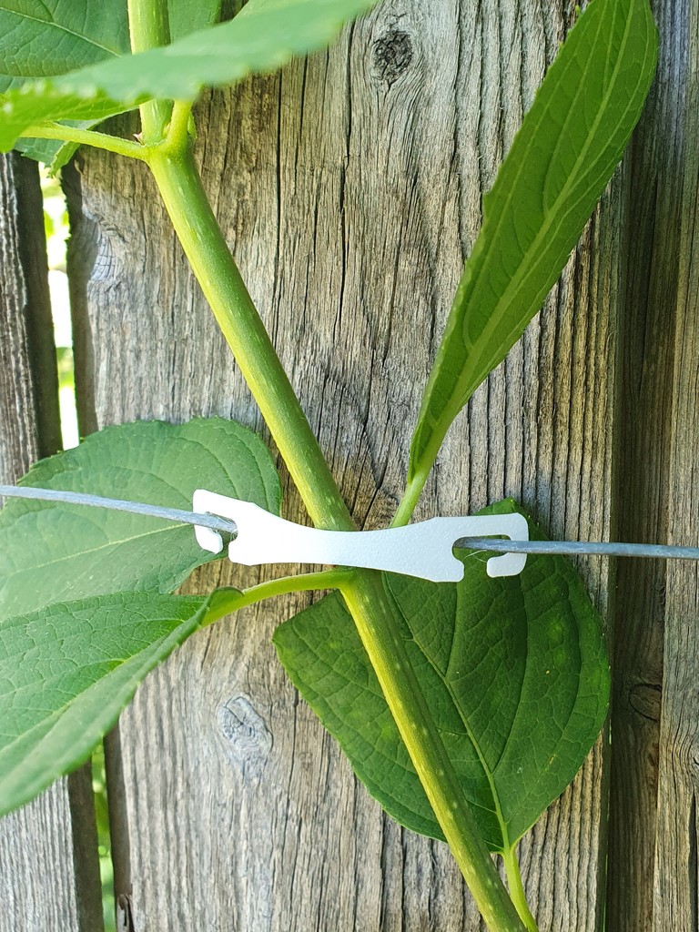 Plants Holding Clip For Wire by Plotter | Download free STL model ...