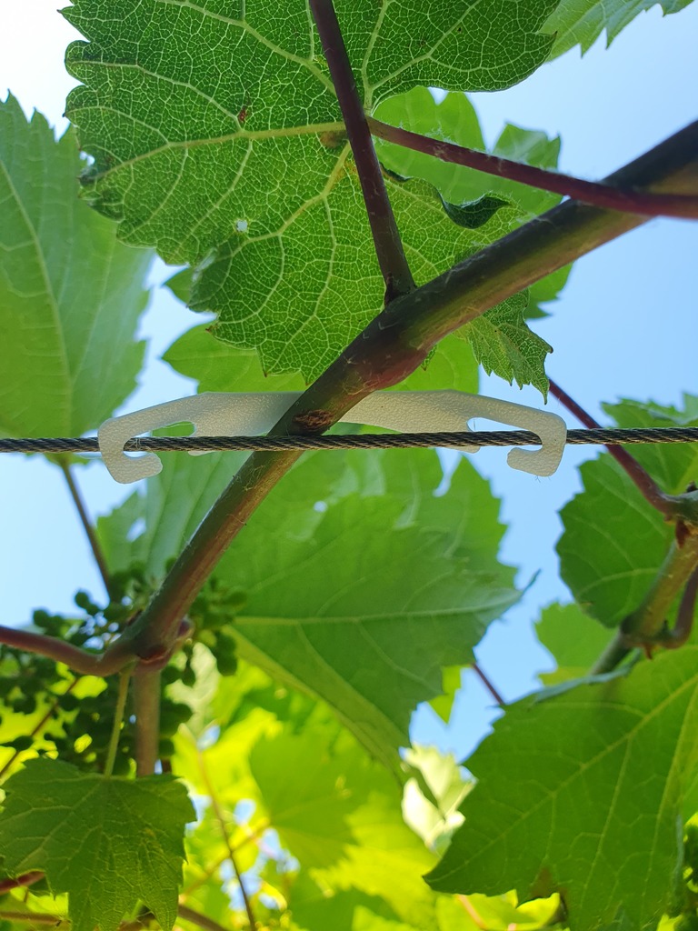 Plants Holding Clip For Wire by Plotter | Download free STL model ...