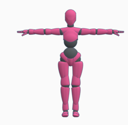 Male and Female poseable Figure by Fairwin Wang | Download free STL ...