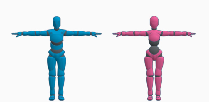 Male and Female poseable Figure by Fairwin Wang | Download free STL ...