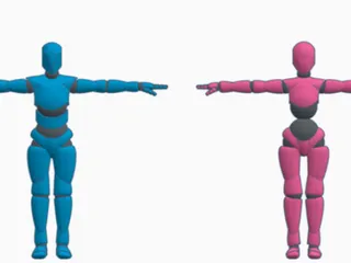 Male and Female poseable Figure by Fairwin Wang | Download free STL ...