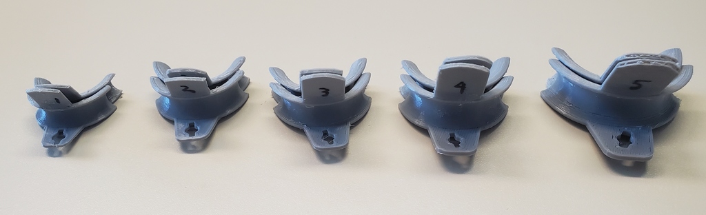 Microstomia Splint + Adjustments by Zoë Edger-Lacoursière | Download ...