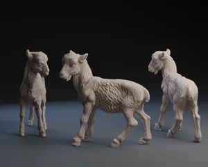 GOAT models for 3D printer | Printables.com