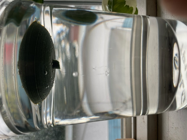 Seed Starter Mini by Carson Design & Prototyping | Download free STL model | Printables.com