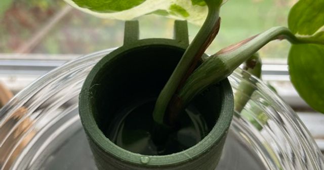 Seed Starter Mini by Carson Design & Prototyping | Download free STL model | Printables.com