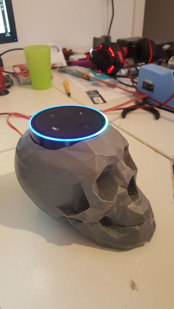 skull echo dot holder alexa by Douwe Miedema | Download free STL model ...