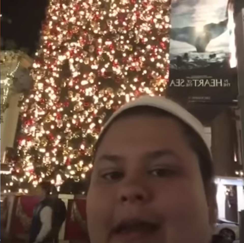 Merry Chrysler Merry crisis (Meme) Christman Ornament by Dittersdorf ...