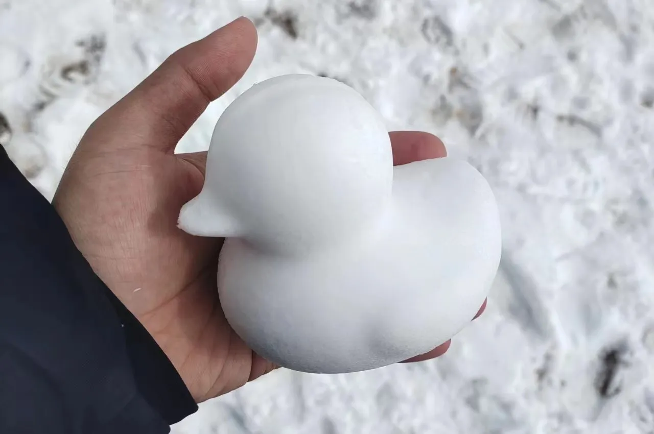 snow duck by llame | Download free STL model | Printables.com