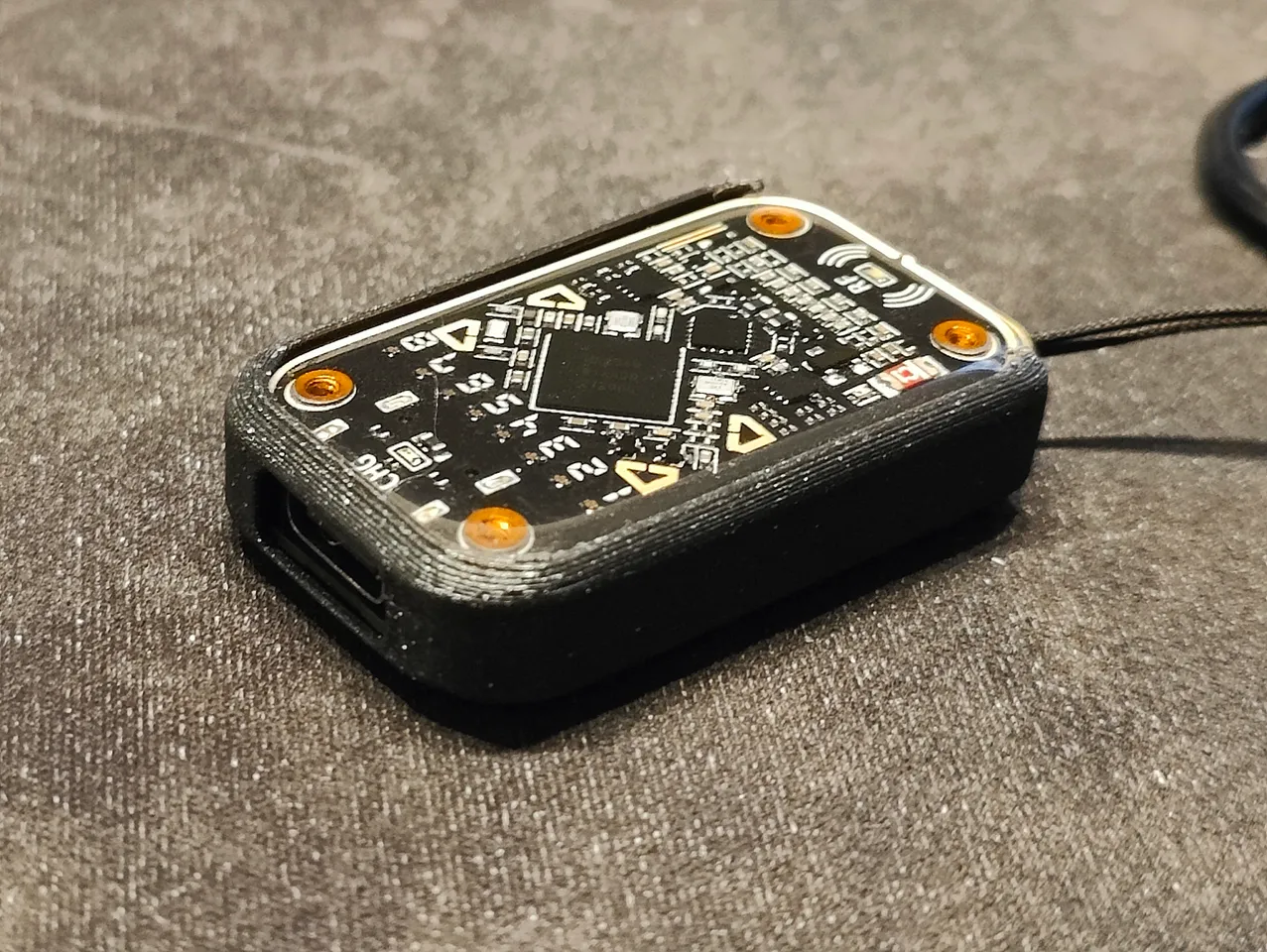 Chameleon Ultra Case by MrFlou | Download free STL model | Printables.com