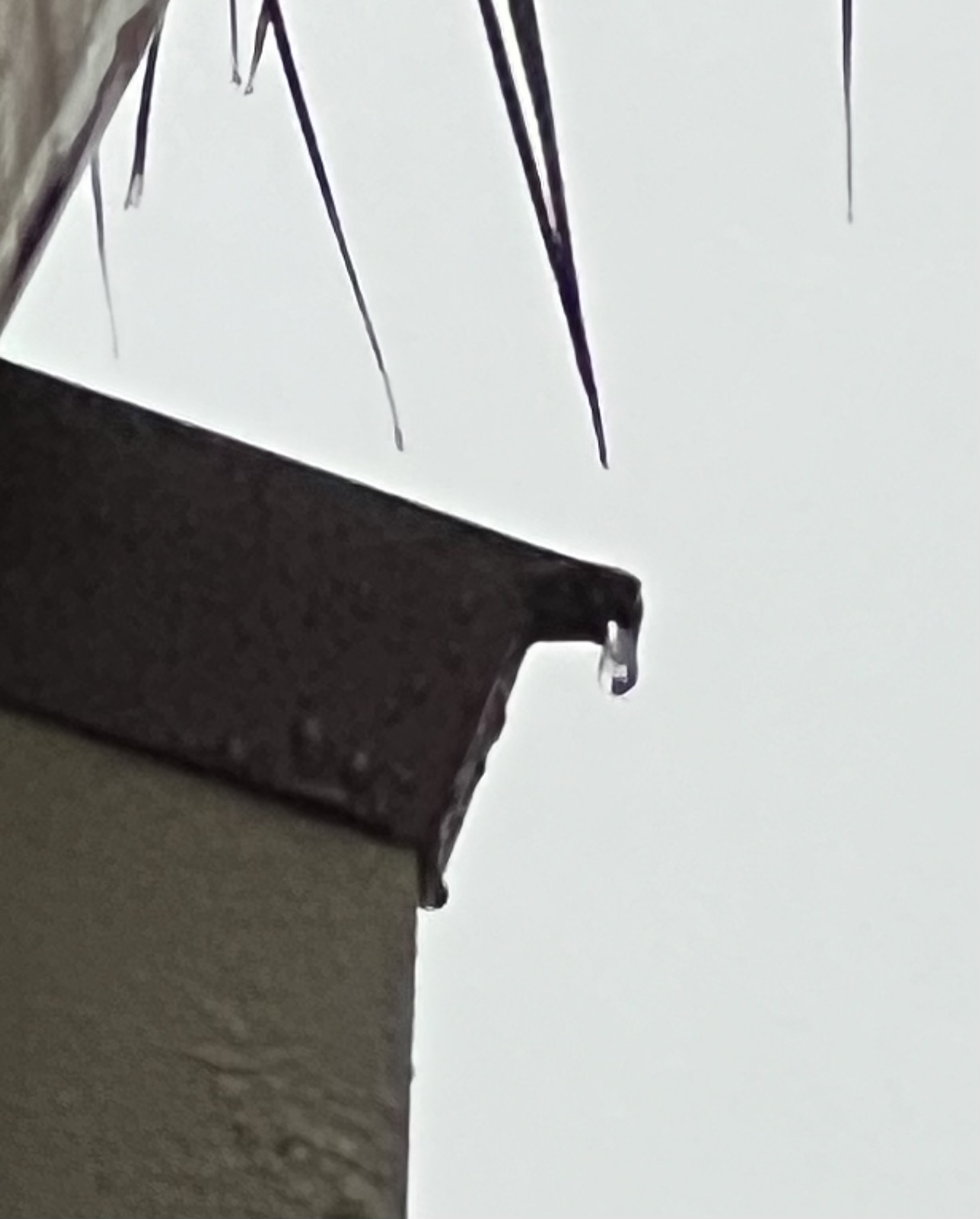 Home Roof Eve Rafter Protector Prevent Rain and Sun Damage by QuadView ...