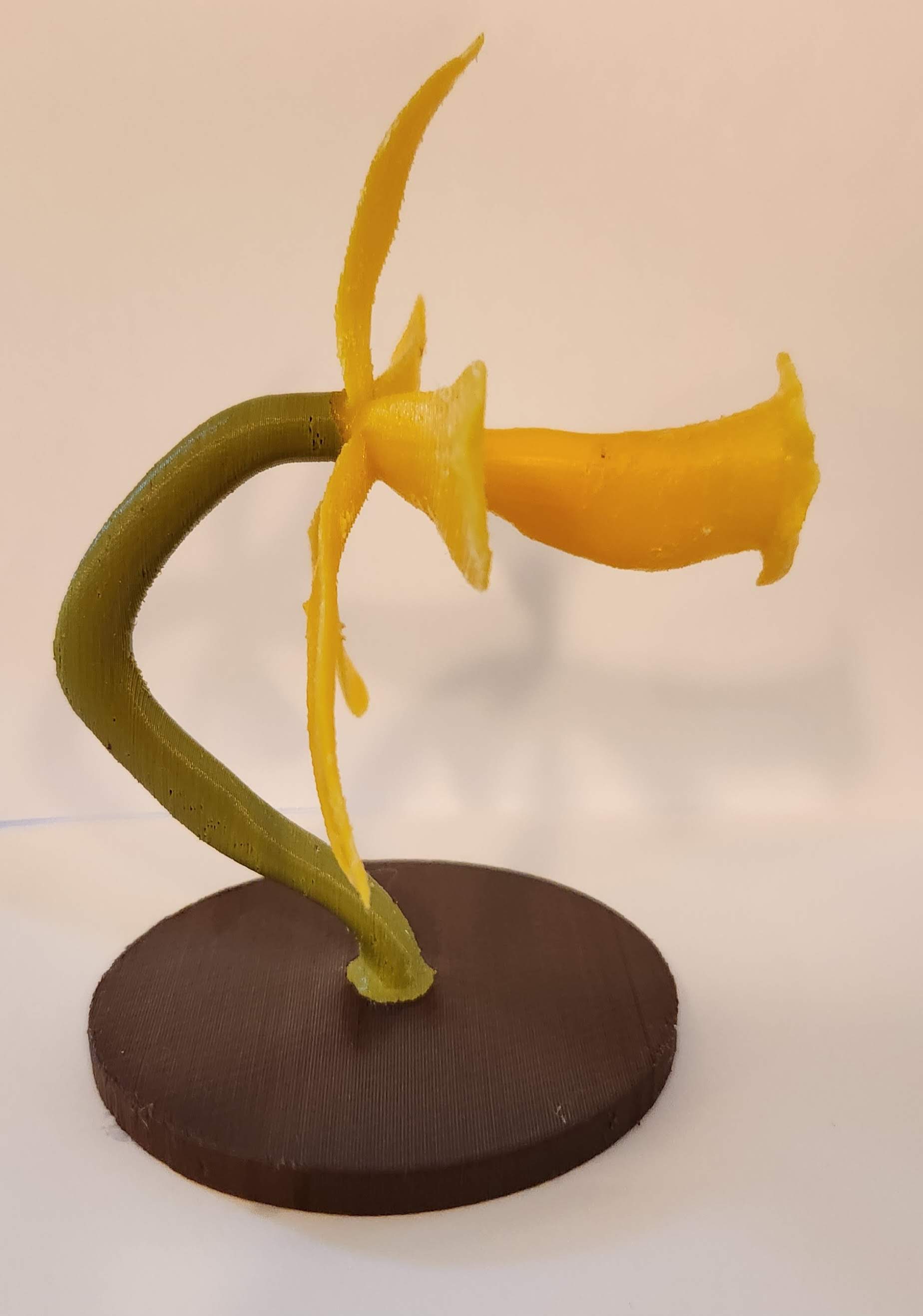 Orchid by HP | Download free STL model | Printables.com