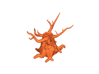 Deku tree ring display by Andresmolga | Download free STL model ...