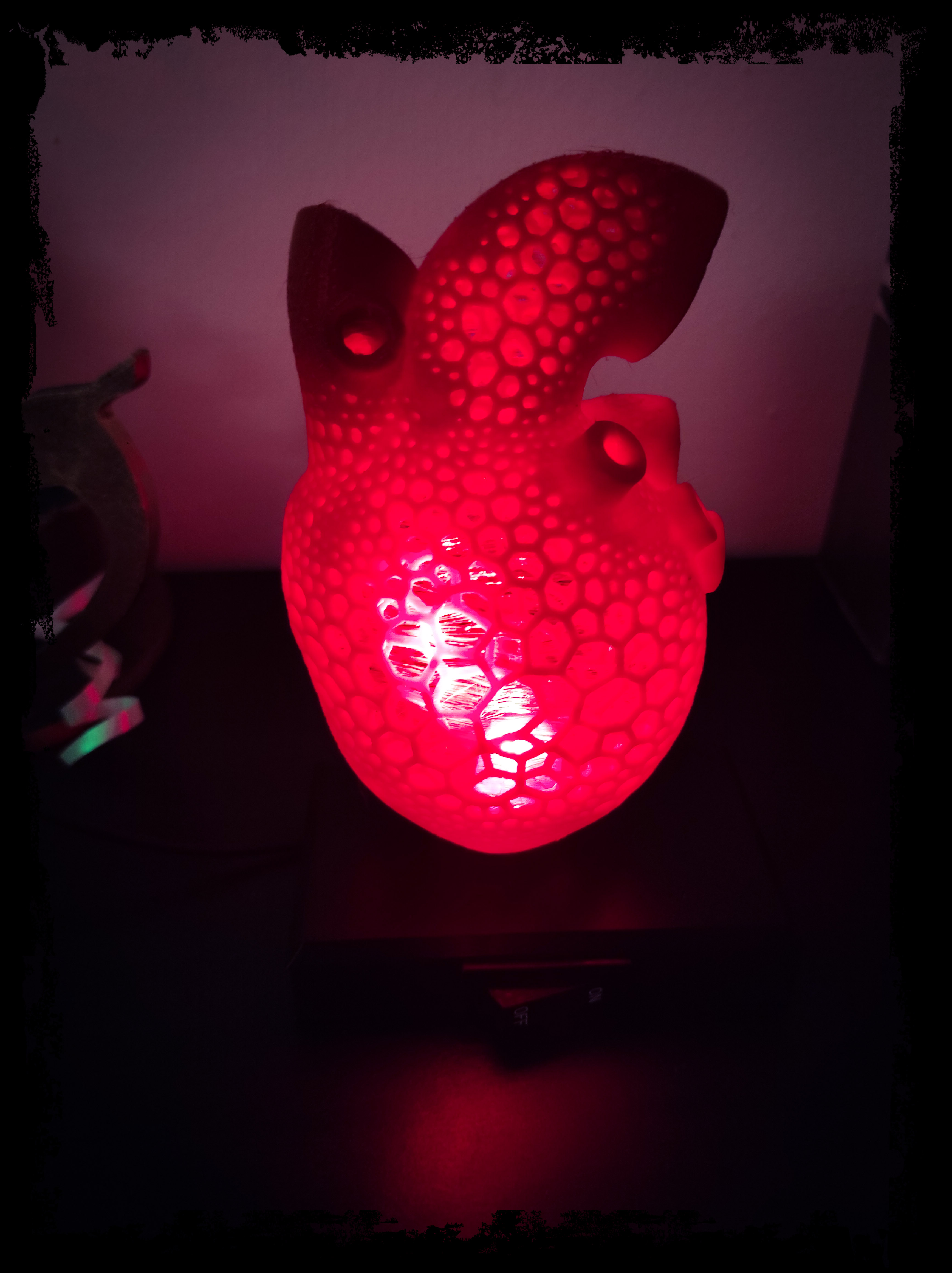 Voronoi Anatomic Heart LED Night Light by Gabor Gyarmati | Download ...