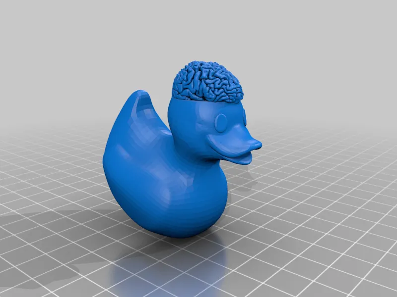 Brain duck by NilsMakesStuff | Download free STL model | Printables.com